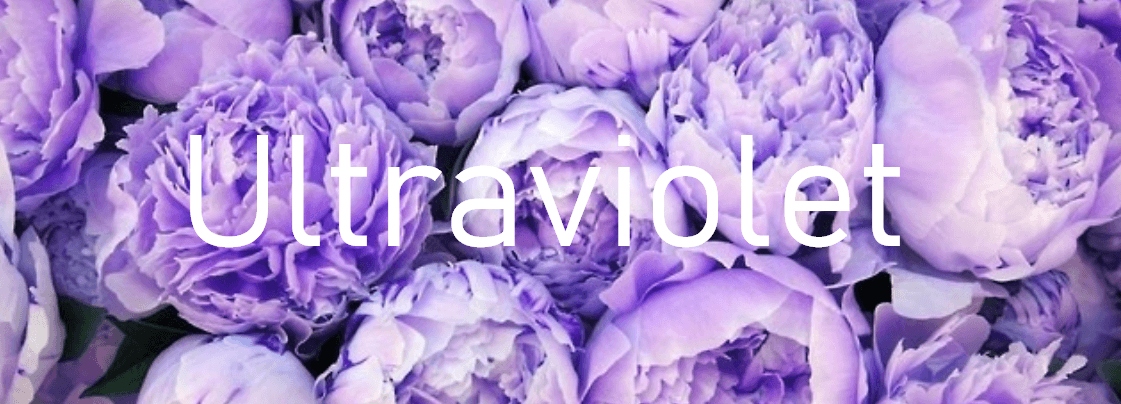 Ultraviolet: the color for this year's weddings – Mimetik